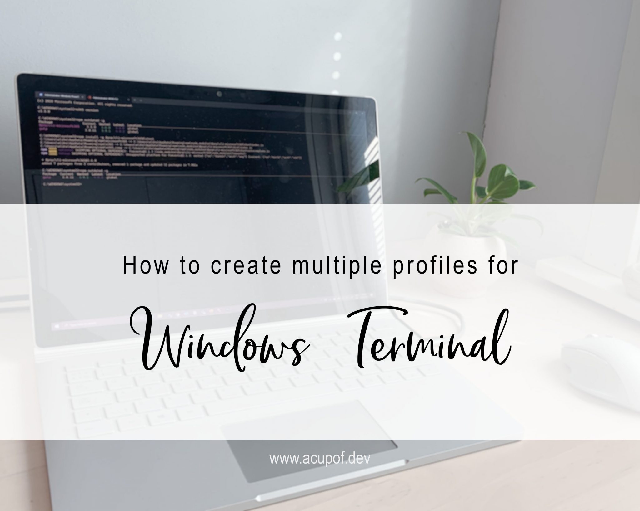 How to create multiple profiles for Windows Terminal - A cup of dev
